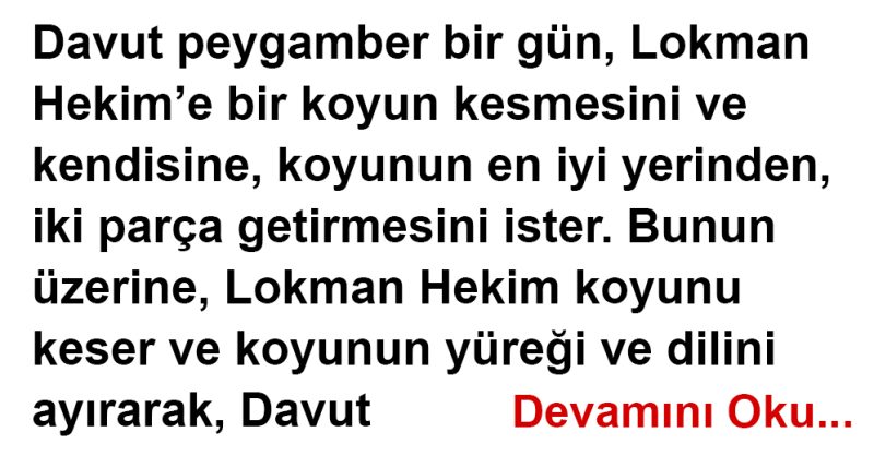 Lokman Hekim Lokman Hekim
